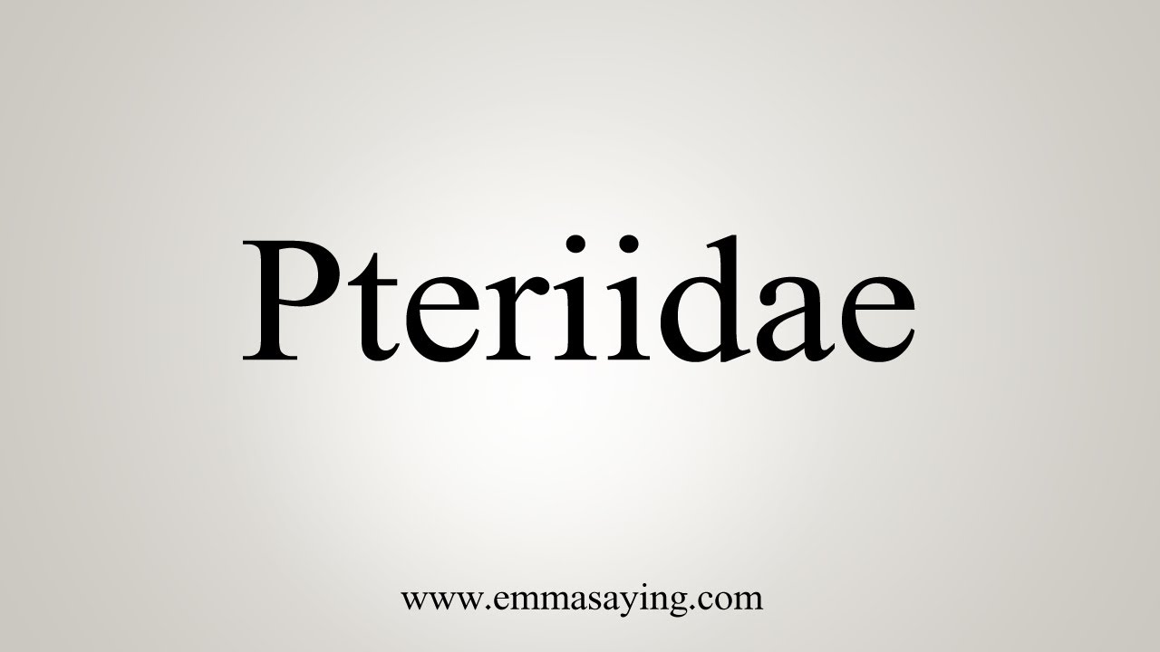 How To Say Pteriidae - YouTube