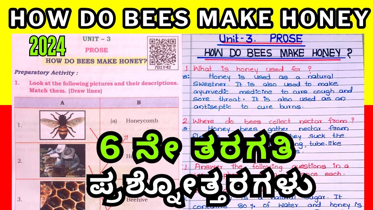 6th Class English How Do Bees Make Honey Question Answer | 6th Standard ...