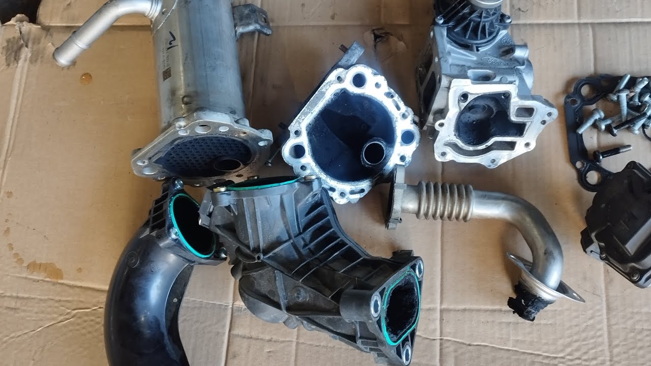 Ford Raptor 2.0 EGR Cleaning/fuel filter replacement💪😁#mechanic #ford # ...