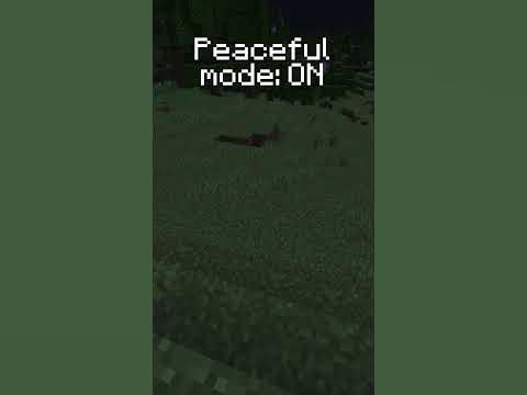 Minecraft Peaceful Mode: ON #minecraft #майнкрафт #fypシ - YouTube