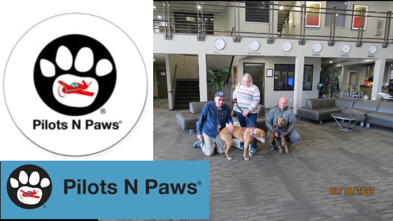 Pilots N Paws mission 18 March 2023 - YouTube