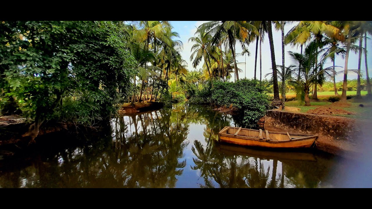 POY OF DHAMAPUR - YouTube