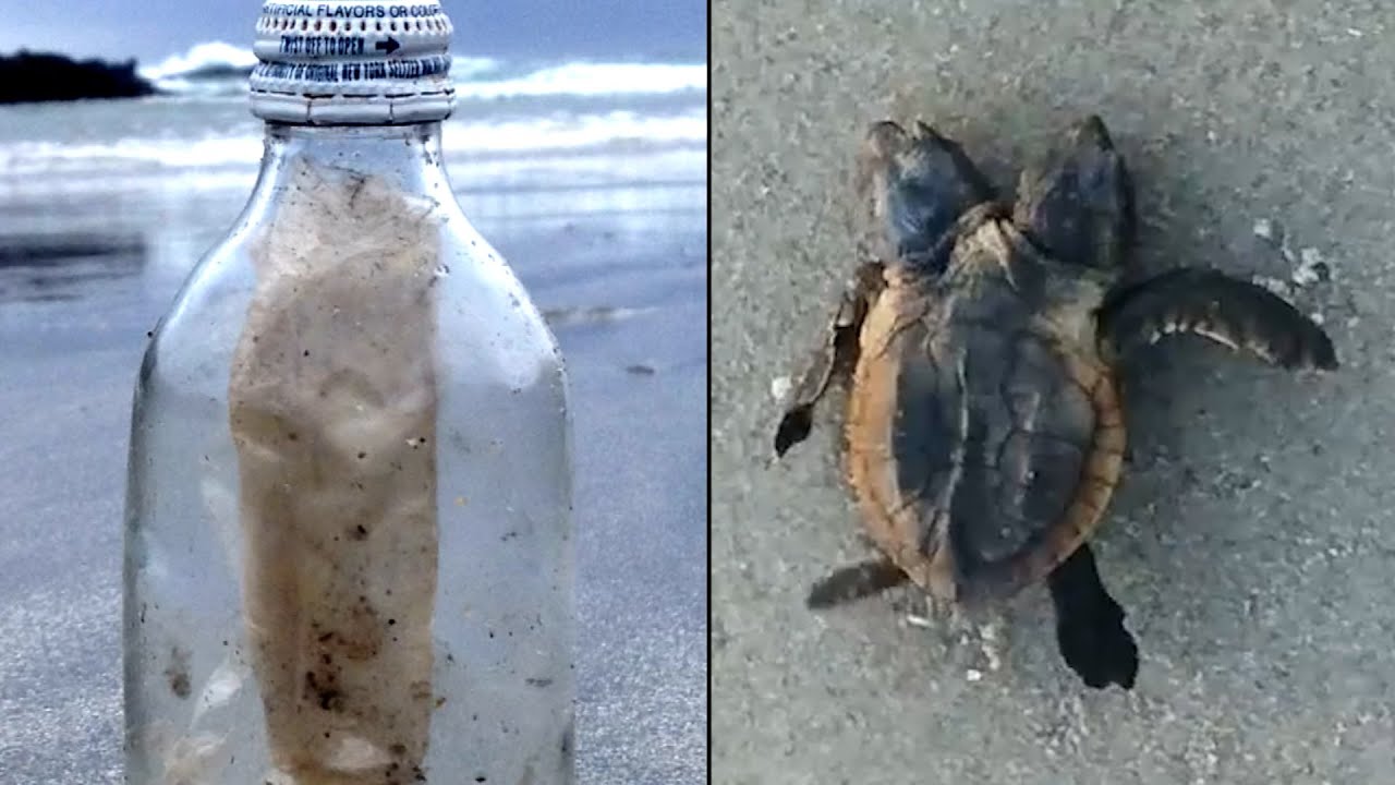 Unusual Things Found on Beaches - YouTube