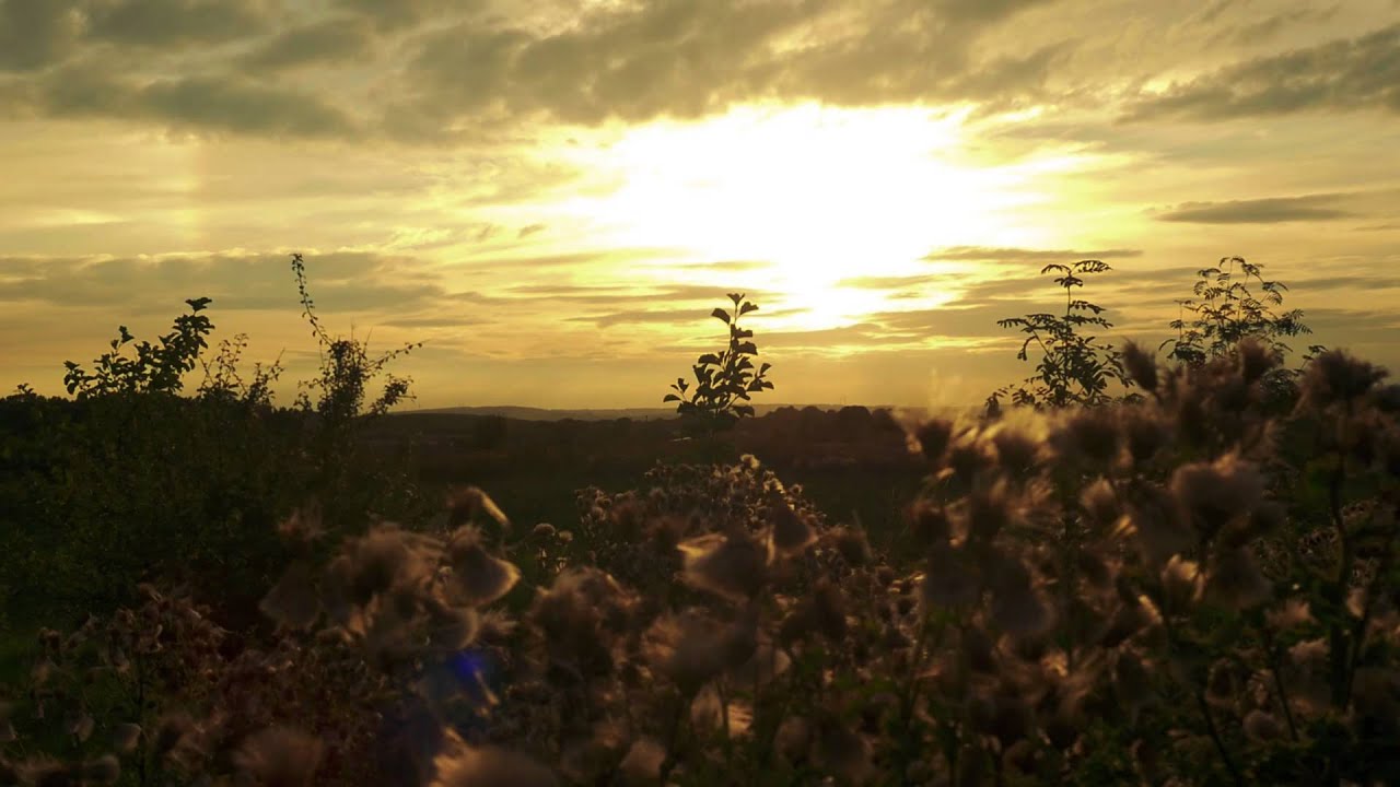 Elba Park Test Shots - YouTube