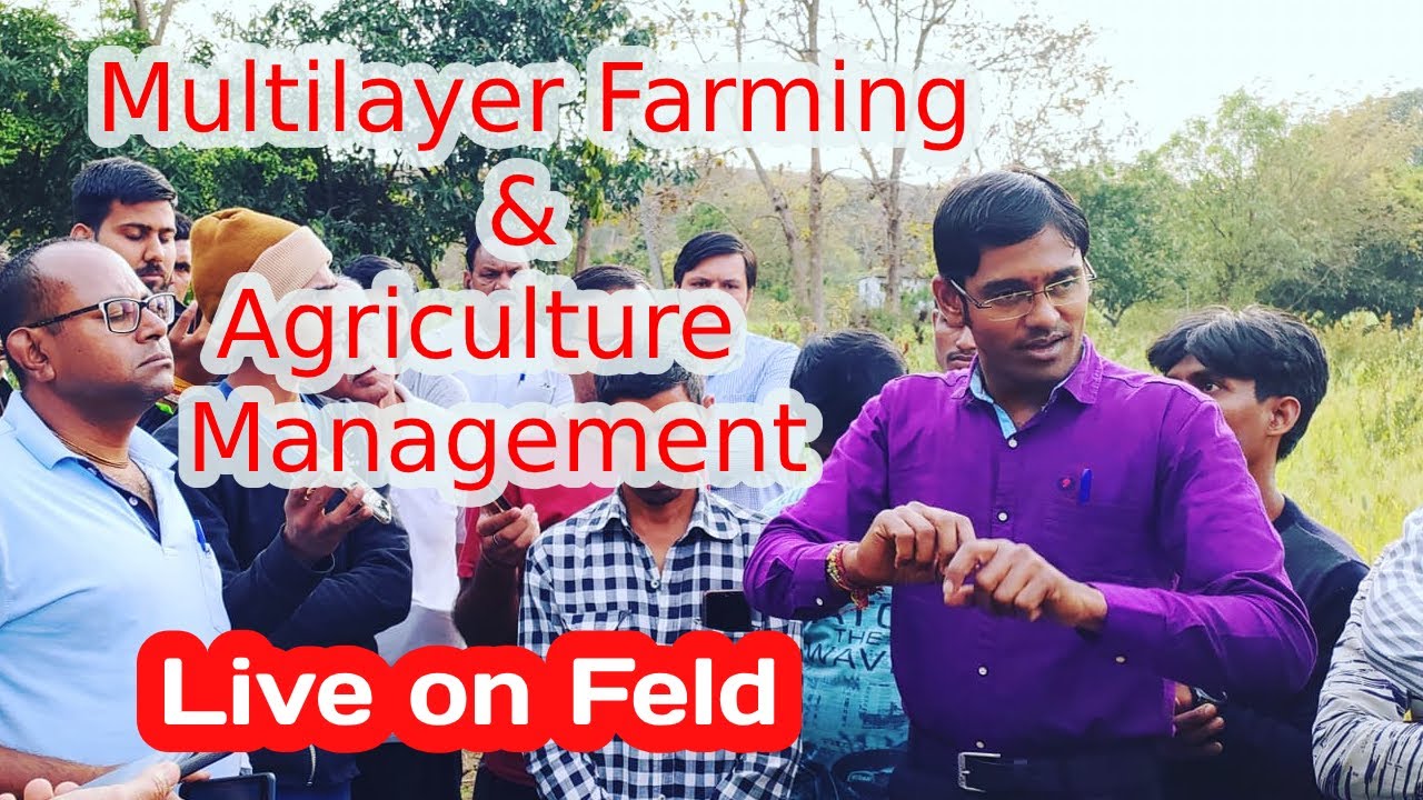 Multilayer Farming & Agriculture Management by Akash Chourasiya. - YouTube