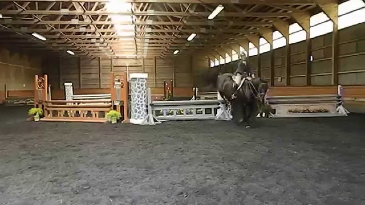 Chris and Posh High Hunter Round 1 - YouTube