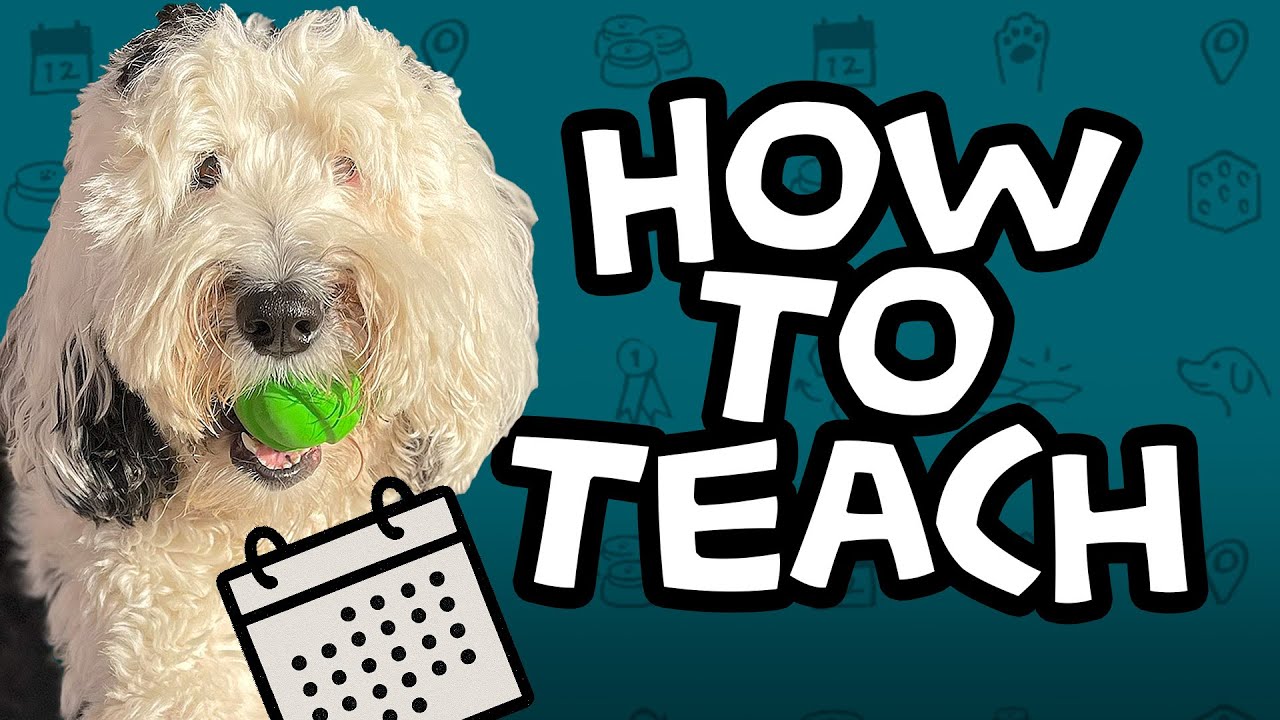 HOW TO TEACH: ABSTRACT CONCEPTS - YouTube