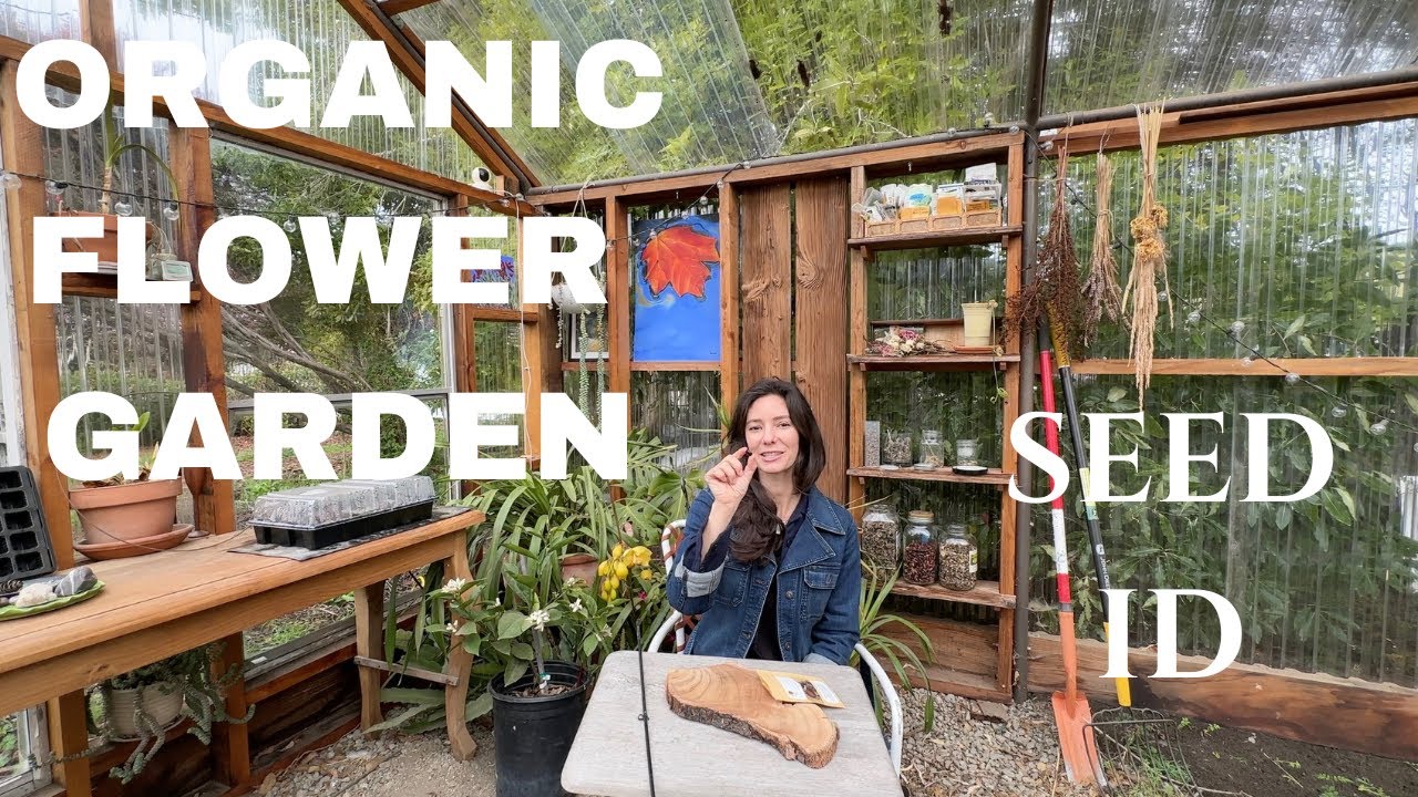 Vibrant Sunset Blend Flower Mix: How to ID These 5 Seeds - YouTube