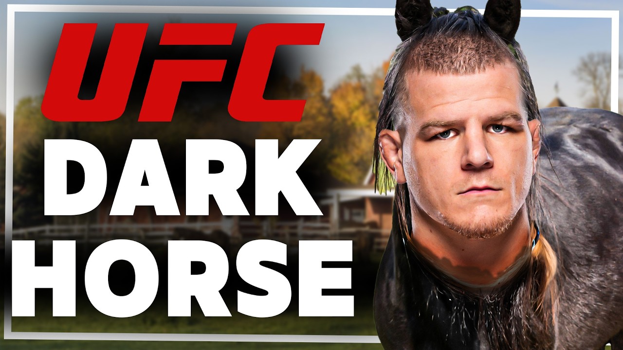 The UFC Dark Horse In Every Division - YouTube