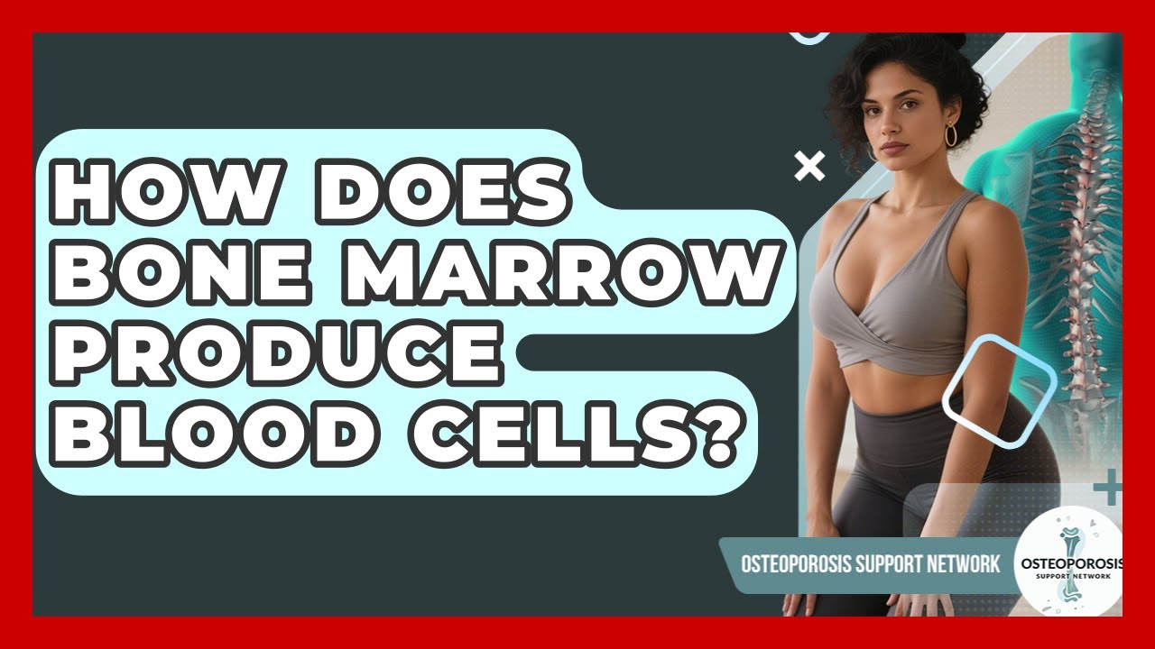 How Does Bone Marrow Produce Blood Cells? - Osteoporosis Support ...