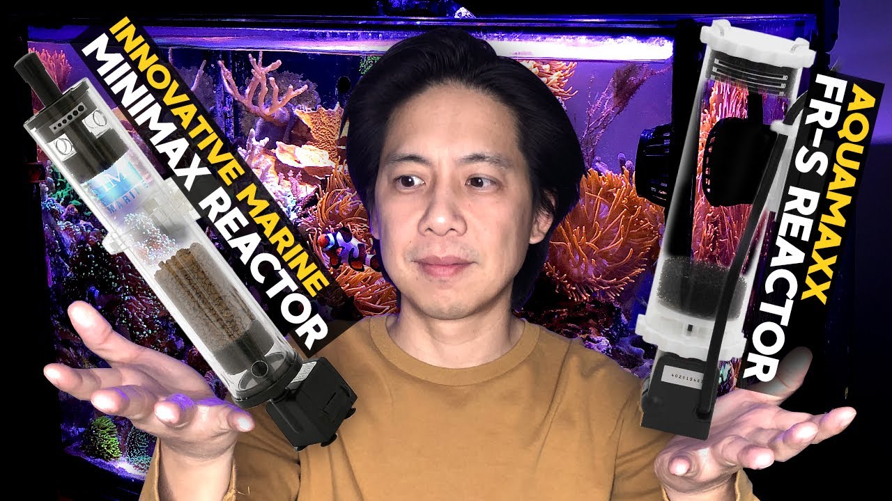 Innovative Marine vs. Aquamaxx Media Reactor!! 🤔 Adding Circus Goby ...