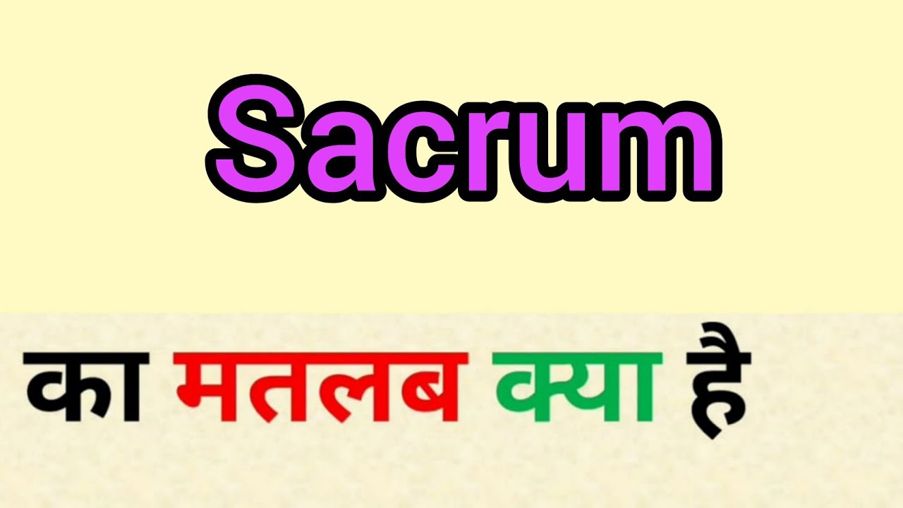 Sacrum Meaning In Hindi Sacrum Ka Matlab Kya Hota Hai Word sacrum-meaning-in-hindi-sacrum-ka-matlab-kya-hota-hai-word