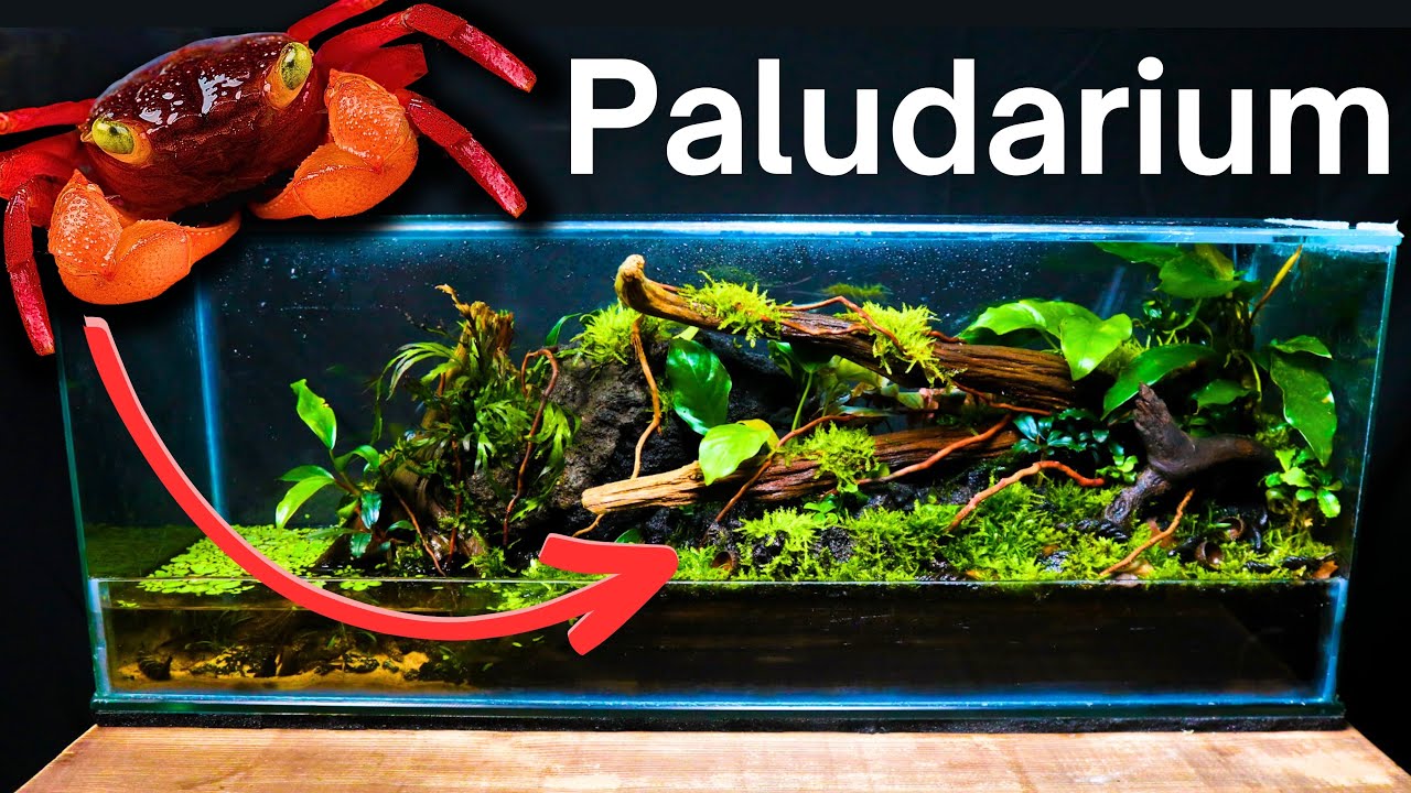 Paludarium