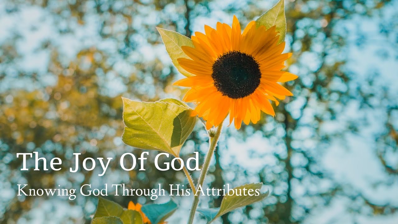 The Joy Of God | Knowing God Through His Attributes - YouTube
