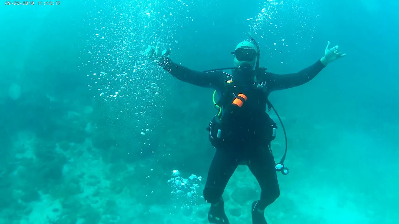 Drift Dive off Pompano Beach, FL - YouTube