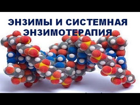 ЭНЗИМОТЕРАПИЯ. Встреча с врачами.