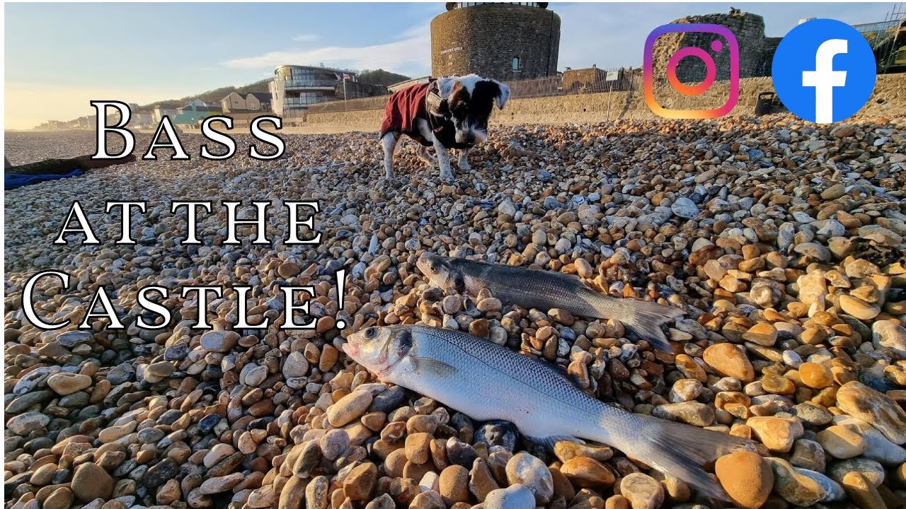 Fishing Sandgate Castle Kent| Great session at the castle!| Minimal ...