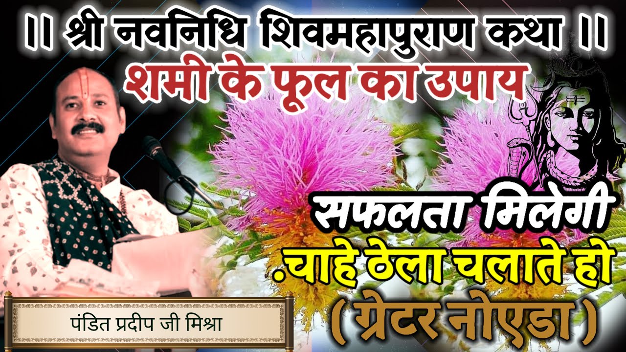 शमी के फूल का उपाय ll Shami Ke Phool Ka Upayll Pandit Pradeep Mishra Ji ...