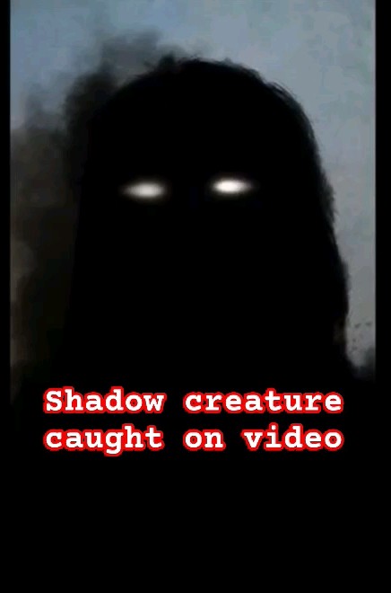 Scary video of a shadow creature in a woman's room. #scary #ghost # ...