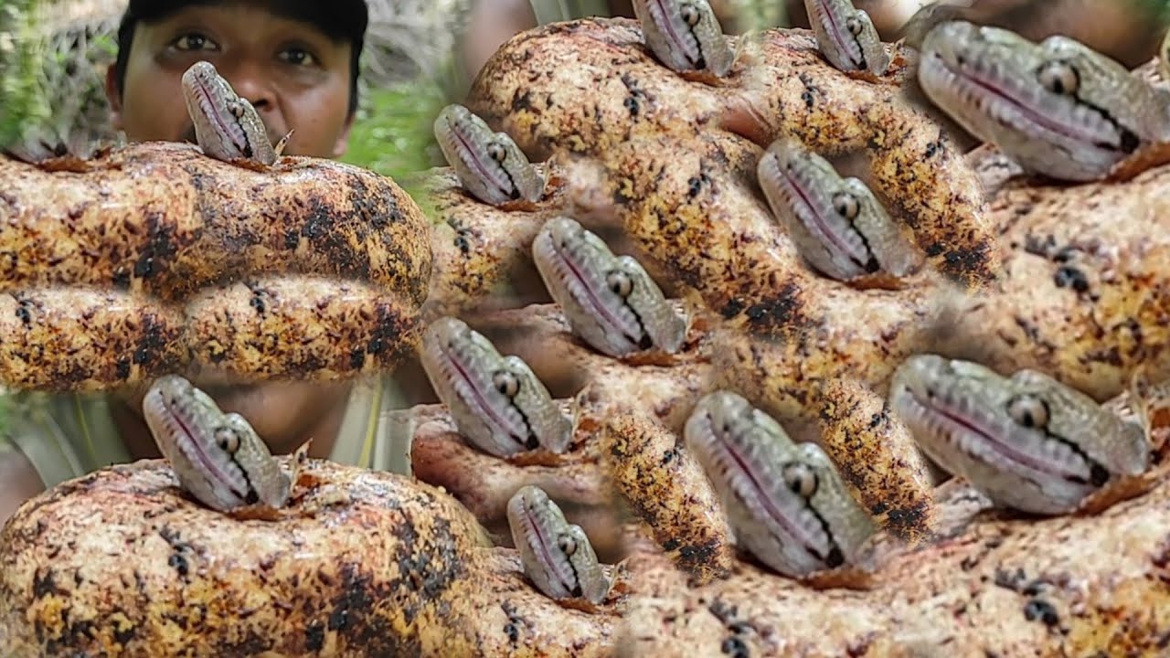 MUNCULNYA PULUHAN KEPALA ULAR MONSTER DEWI PYTHON RAKSASA MUNCUL ...