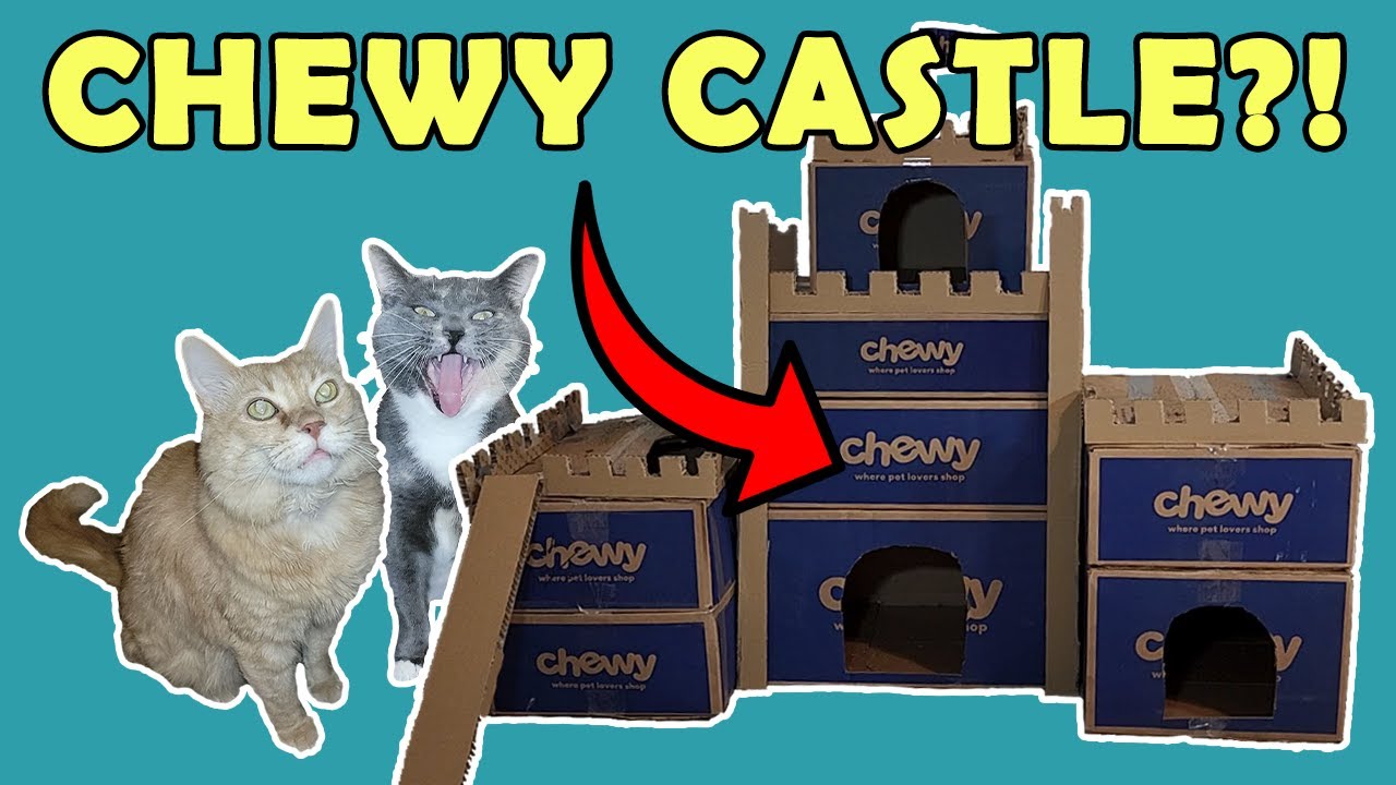 Don't Throw Away Your Chewy Boxes, Do This Instead and Your Pets Will ...