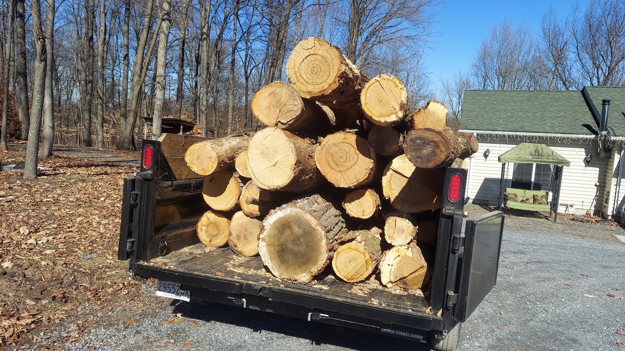 MASSIVE load of logs on the dump trailer,husky 372 eats.. - YouTube