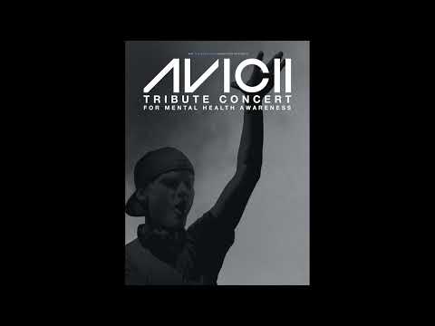 Avicii - The Nights (Live Vocals by Nick Furlong)