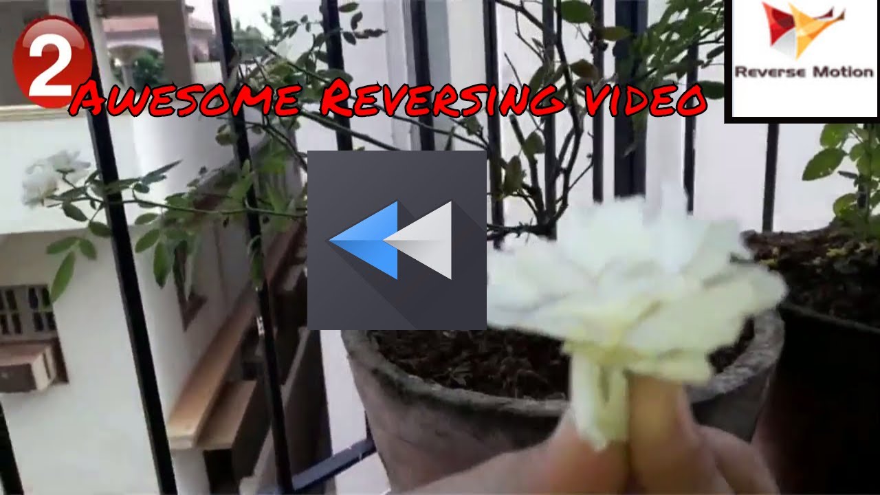 Amazing Reversing Video: Reverse Motion - YouTube