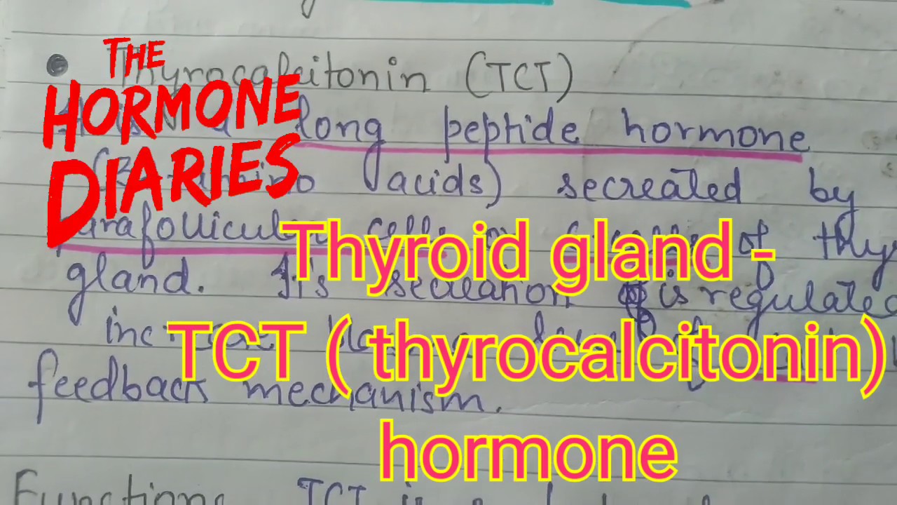 Thyrocalcitonin (TCT) Hormone- Functions and Working || Thyroid Gland ...
