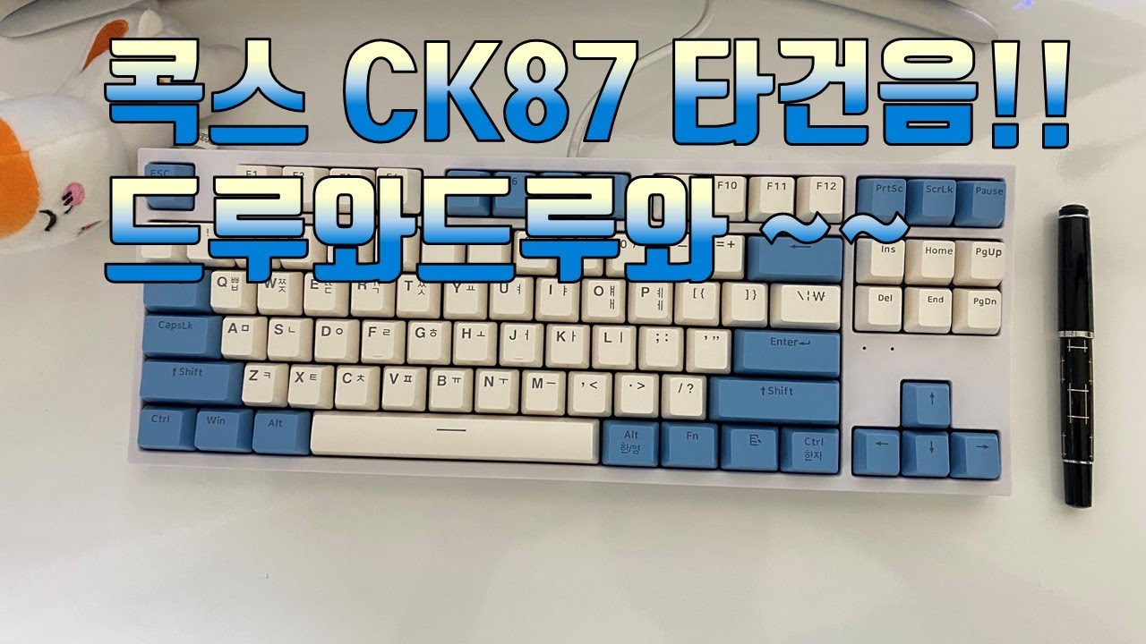 콕스 CK87 갈축 타건영상 ㅣCOX 기계식키보드 - YouTube