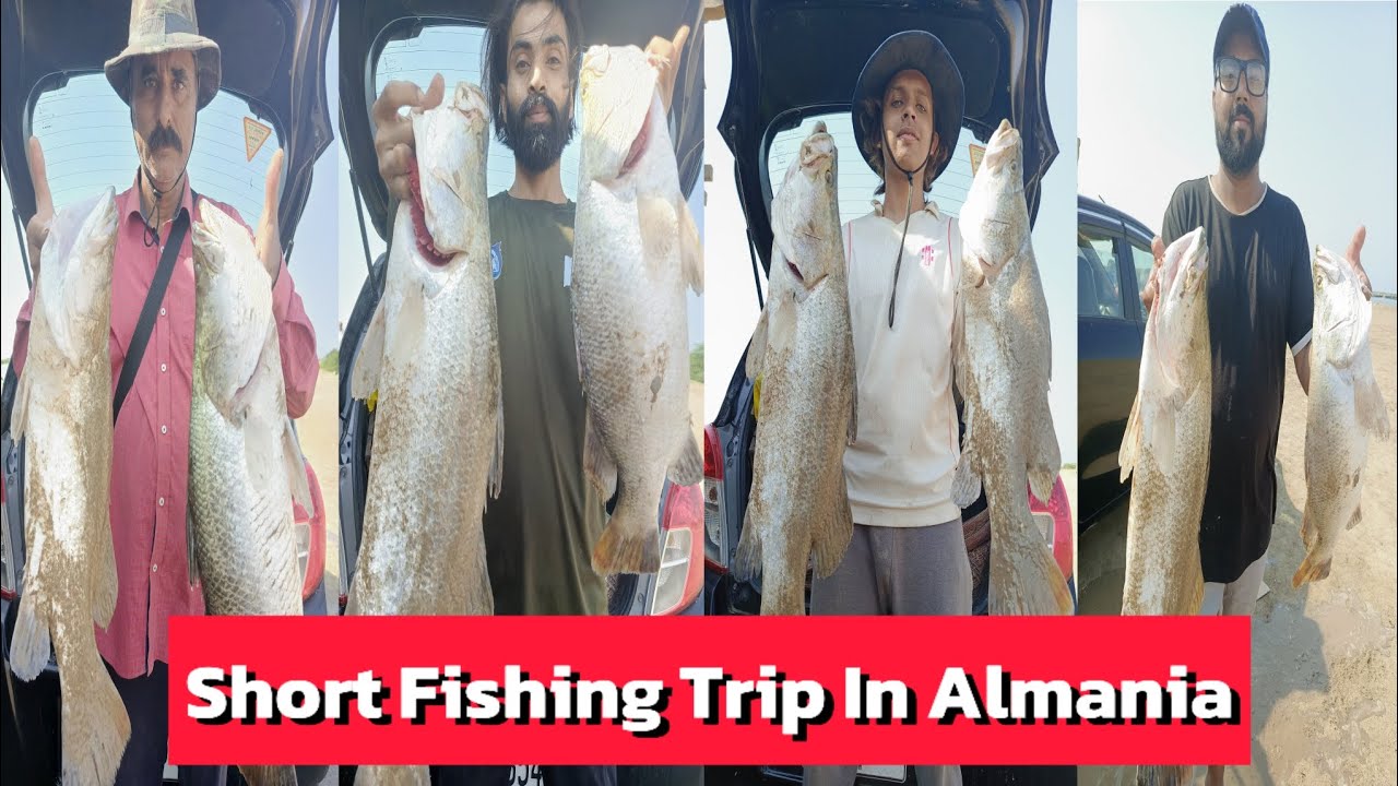 Barramundi (Dangri) Fishing in Almania farm - YouTube