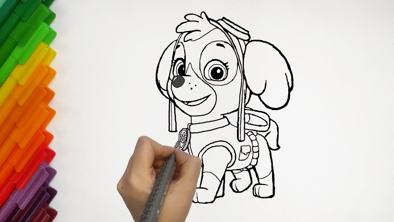 Skye Paw Patrol Drawing | Easy and Cute Drawing for Kids - YouTube