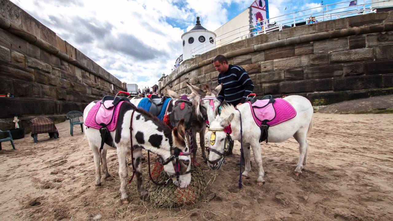 Whitby Regatta - YouTube