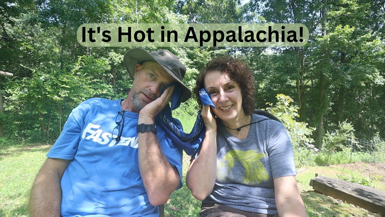 Hot Weather and Tree Rattlers in the Mountains of Appalachia - YouTube