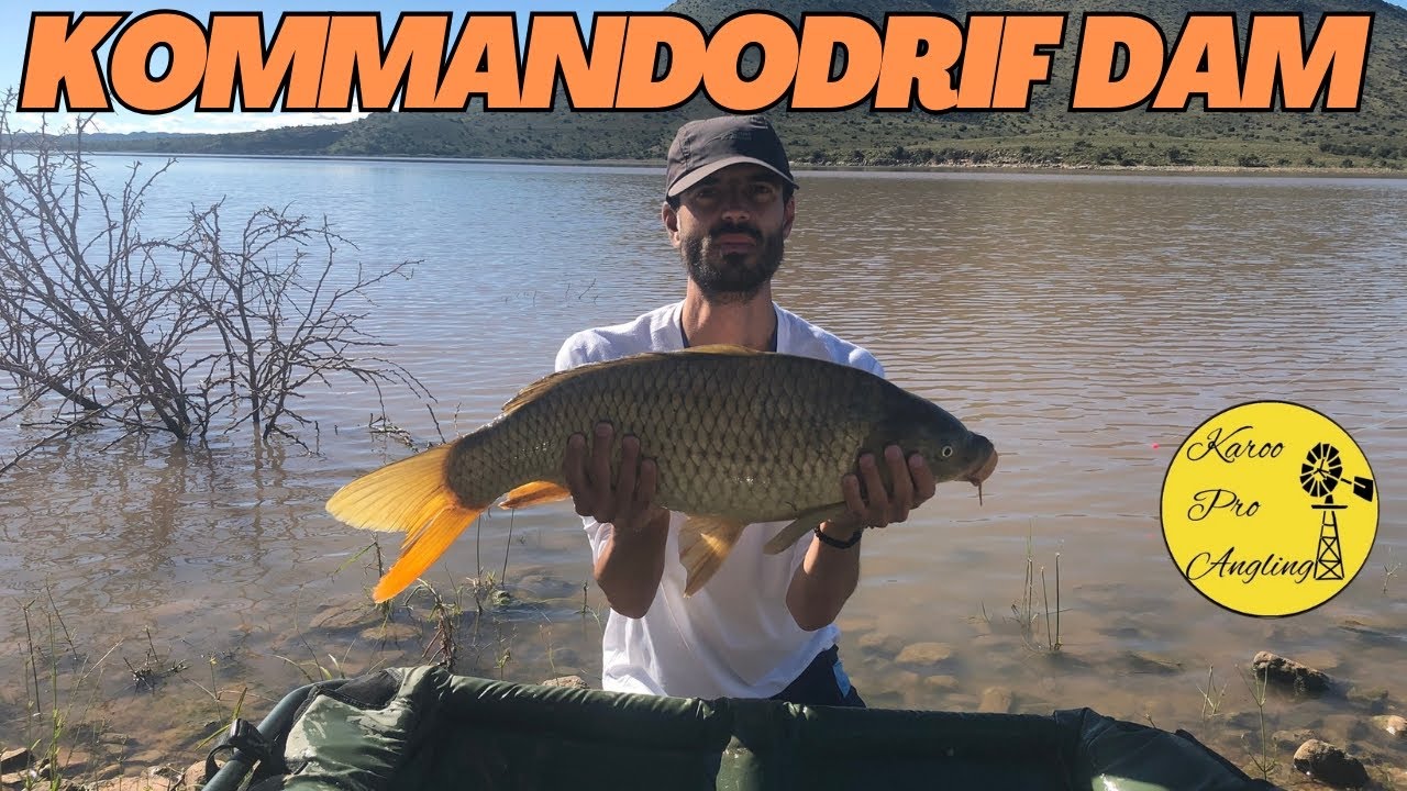 Kommandodrif Dam Carp Fishing [Video 20] - YouTube