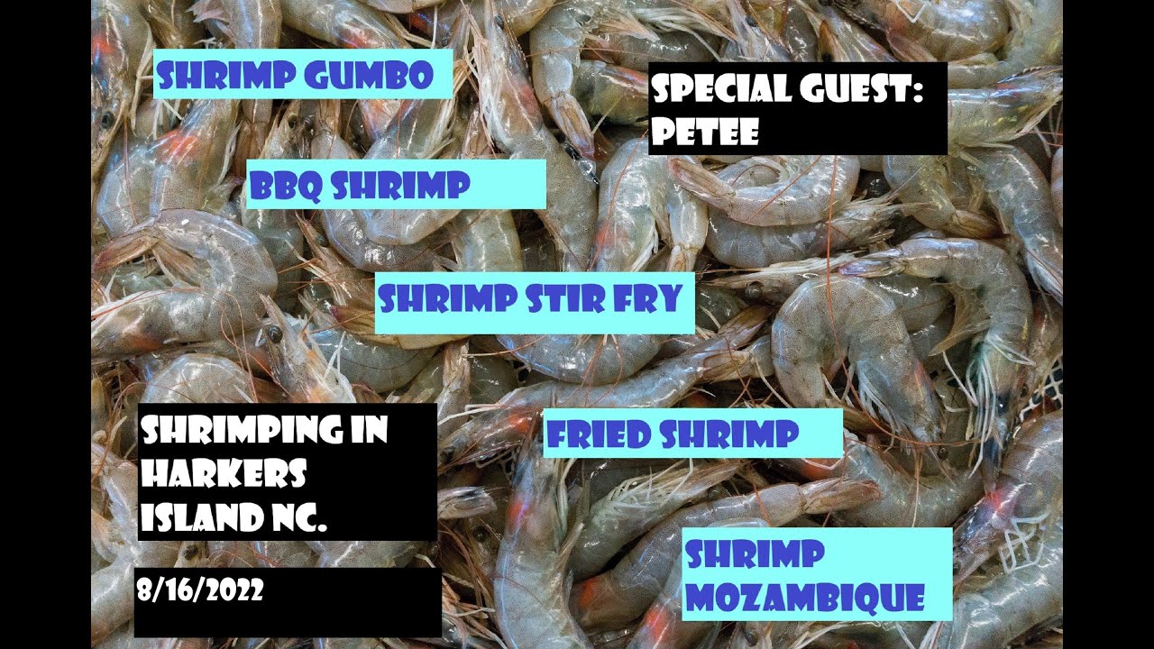 Shrimping with a cast net - - Harkers Island, NC. - YouTube