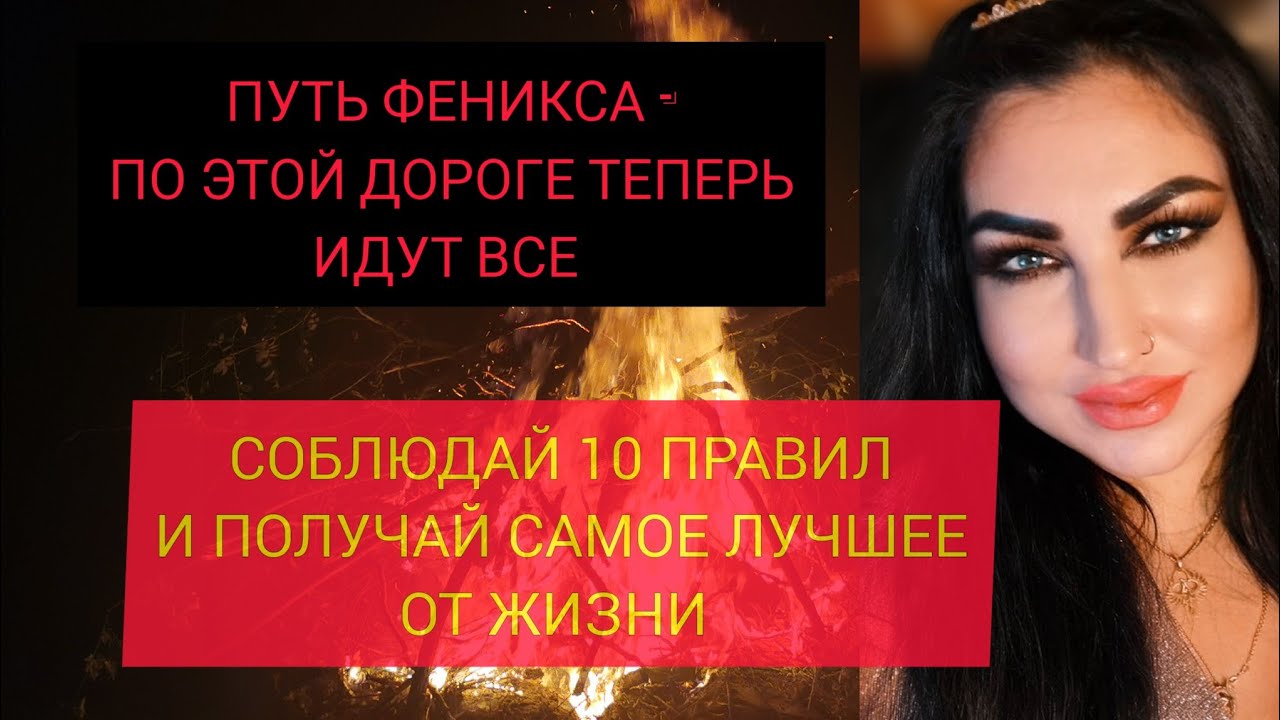 ПУТЬ ФЕНИКСА ПРАВИЛА ПЕРЕХОДА В НОВУЮ РЕАЛЬНОСТЬ КАК ЭТО СДЕЛАТЬ