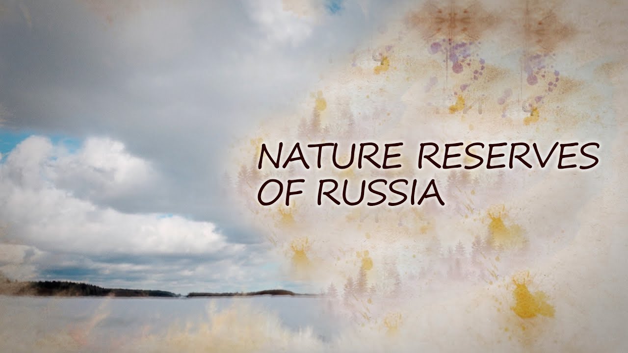 State Nature Reserve "Pinezhsky". Nature reserves of Russia - YouTube