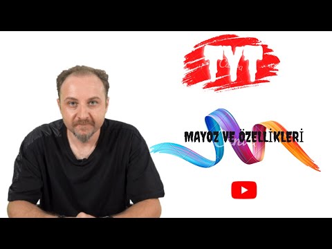 2024 TYT Biyoloji Mayoz Bölünme