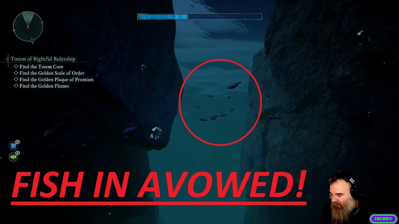 MicksysPCGaming - Avowed Has Live Fish In The Water! - YouTube
