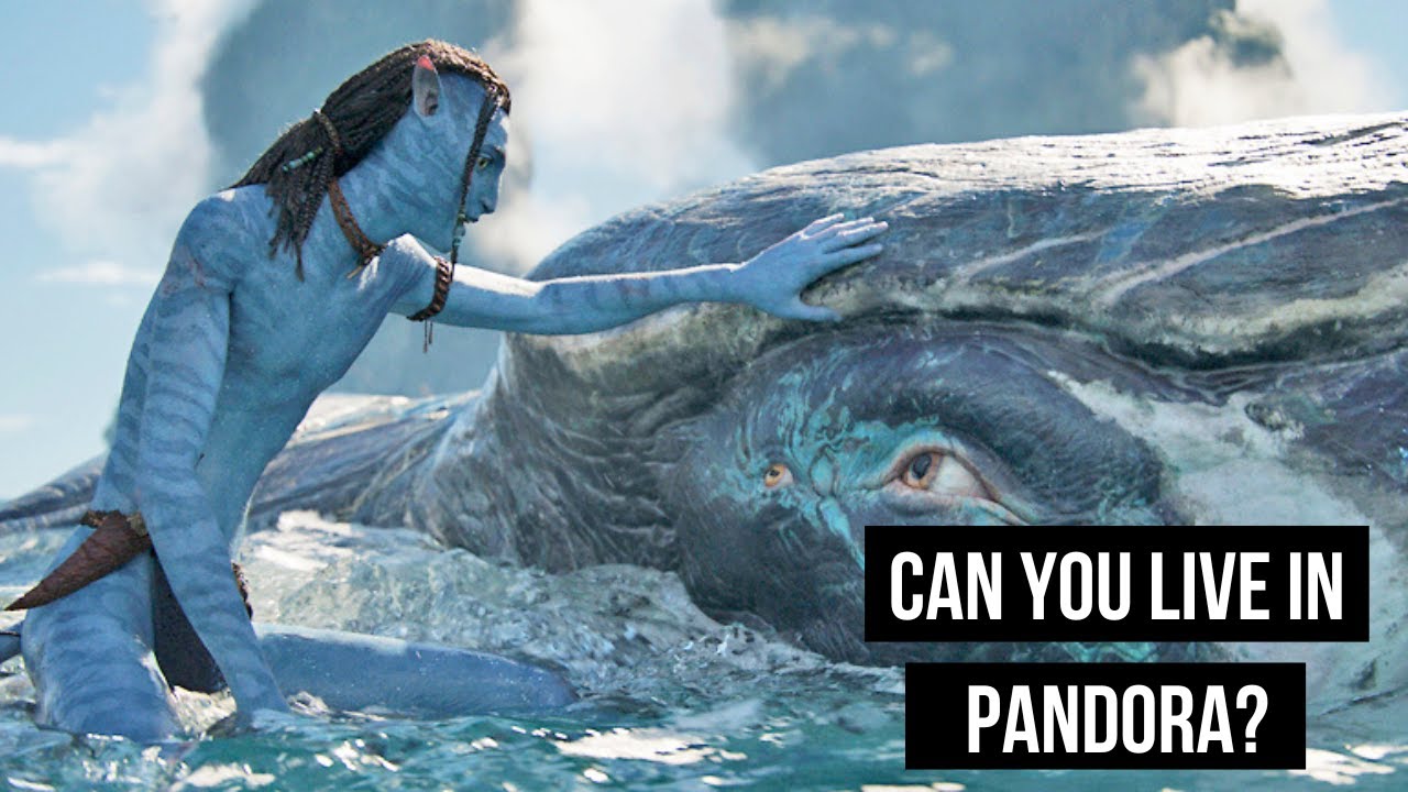 Avatar's Pandora Planet In Real Life Is Wonderful | Avatar : The Way Of ...