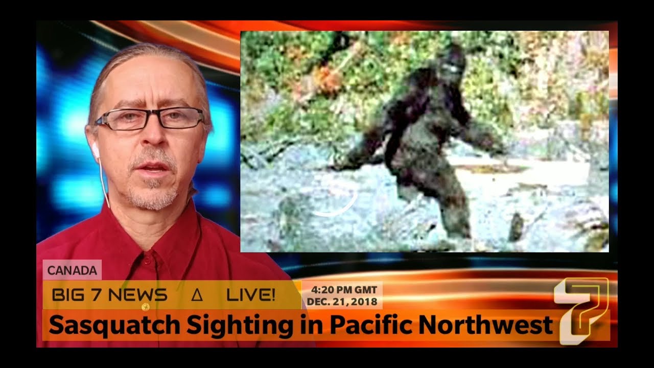 Credible Sasquatch Sighting - Bigfoot DNA Samples Found - YouTube