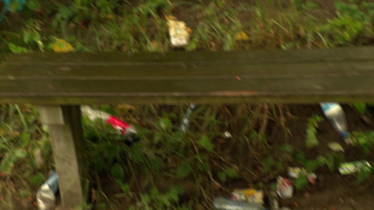 Gewapend tegen geweld: grote verschillen in uitrusting van boa's - YouTube