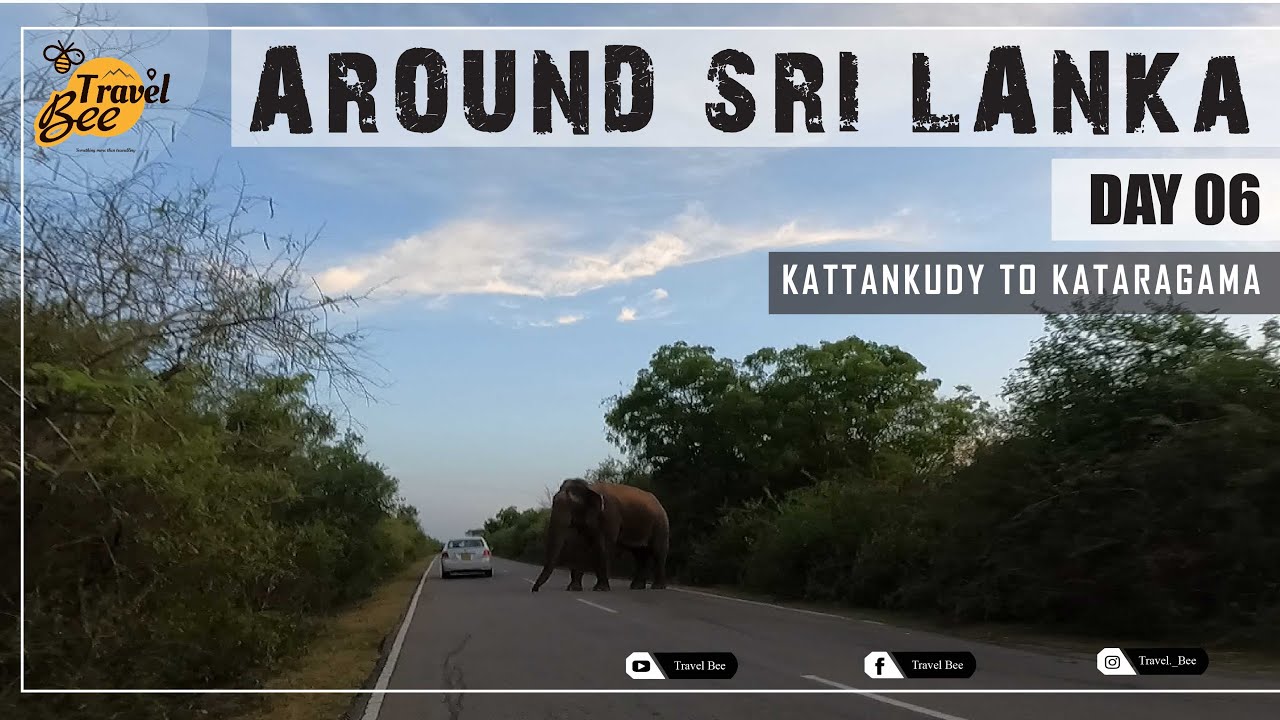 AROUND SRI LANKA | DAY 06 | KATTANKUDY TO KATARAGAMA - YouTube