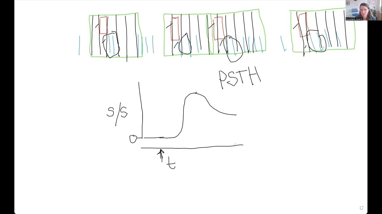 Calculating a peri stimulus time histogram (PSTH) - YouTube
