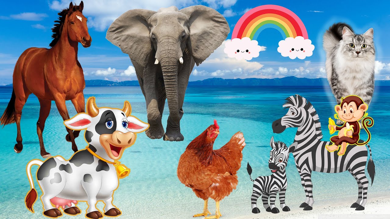 The sounds of all the animals on earth, cows, cats, chickens, pigs ...