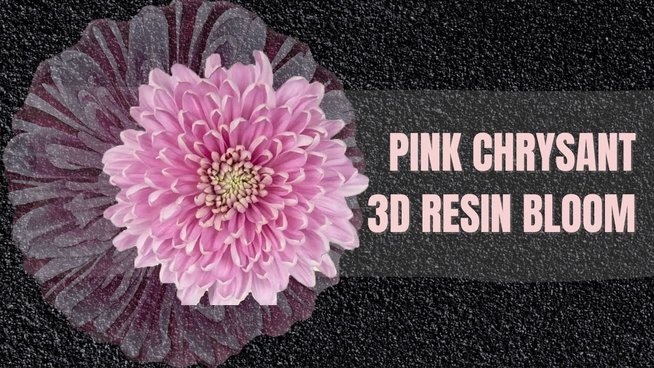 Pink Chrysant 3D RESIN FLOWER BLOOM Tutorial - YouTube