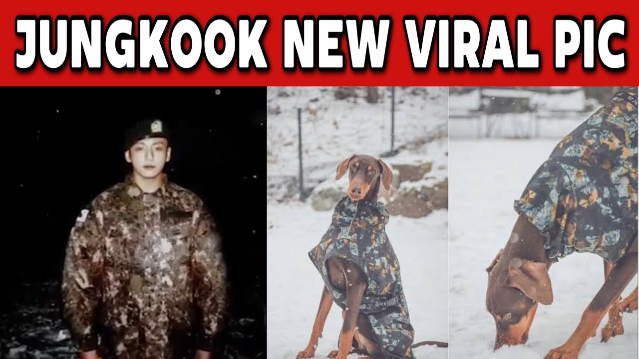 JUNGKOOK viral pic😍and JK dog is fine now👍🏻 - YouTube
