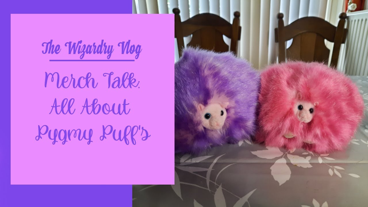 Harry Potter Merch Talk: All About Pygmy Puffs | + Adoption / Naming ...