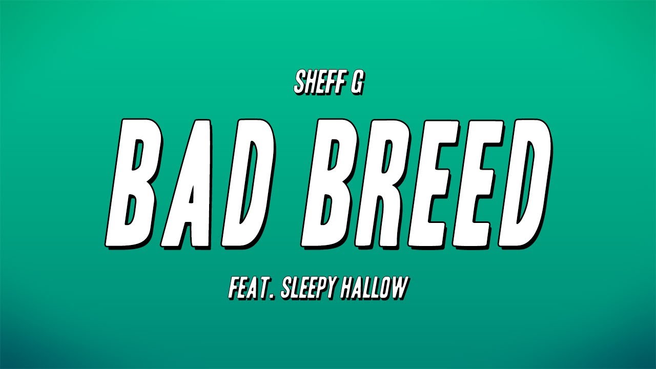 Sheff G - Bad Breed ft. Sleepy Hallow (Lyrics) - YouTube